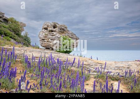 Raukar on the cliffs of Hoburgen, Sweden, Gotland, Sundre Stock Photo ...