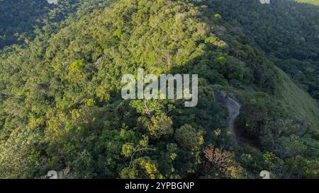 Aerial view of Pico da Tijuca, located in the Tijuca National Park in ...