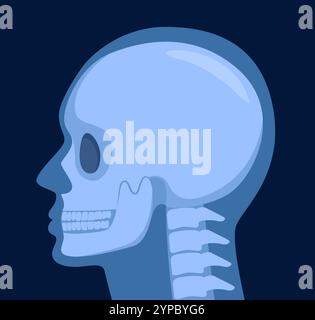 X-ray shot of skull, human body, head and neck bones side view ...