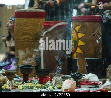 Austin, Texas, USA. 23rd Nov, 2024. Austin, Texas. November 23, 2024 ...