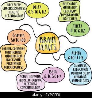 Brain waves are electrical impulses in the brain that reflect various ...