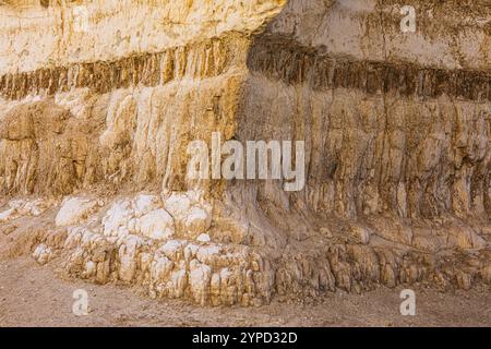 Eroded rock on a fossilised reef edge, Huqf stone desert, Arabian ...
