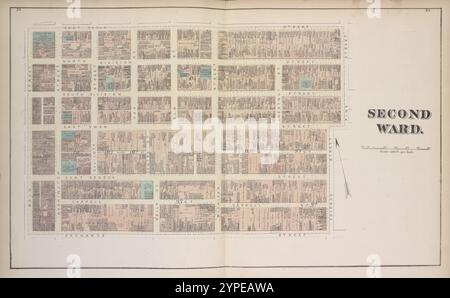 Second Ward. Cartographic. Maps. 1872. Lionel Pincus and Princess ...