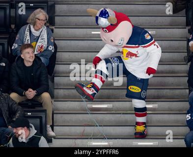 Maskottchen Mike (EHC Red Bull Muenchen) faehrt auf der Zamboni mit ...