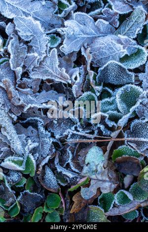 Interesting found still-life of natural rock patterns on Rock a Nor ...