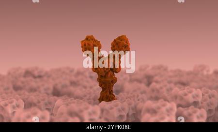 Human Cell Receptor Antibodies in Immune Response Stock Photo - Alamy