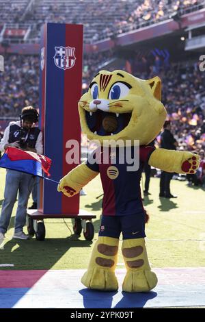 Cat, mascot of FC Barcelona during the UEFA Champions League, Semi ...