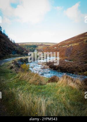 A breathtaking view of the lush, rolling hills and towering mountains ...
