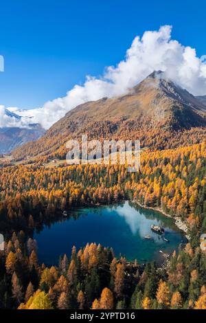 Aerial view of the Saoseo Lake in autumn. Poschiavo Valley, Canton of ...