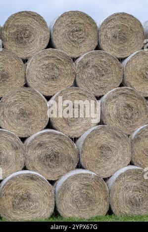 haystacks piled straw Stock Photo - Alamy