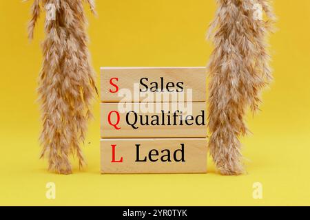 SQL - Sales Qualified Lead. Wooden cubes with words SQL. Beautiful pink ...