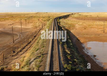 An empty railway track surrounded by dry leafless trees in fall Stock ...
