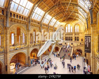 Main Hall inside the Natural History Museum, London, UK Stock Photo - Alamy