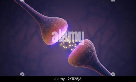 Synaptic Signals Driving Activity in Neural Pathways Stock Photo - Alamy