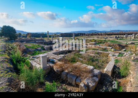The Ancient City Of Magnesia ad Maeandrum in Turkey Stock Photo - Alamy