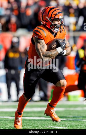 Cincinnati Bengals running back Chase Brown (30) runs the ball against ...
