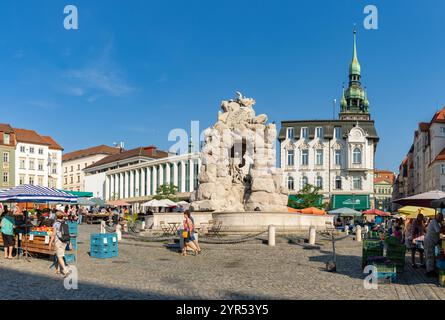 A picture of the Cabbage Market Square of Brno, with the Cathedral of ...