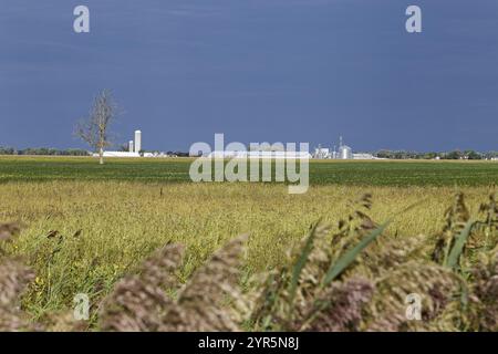 Field, farmland landscape, Province of Quebec, Canada Stock Photo - Alamy