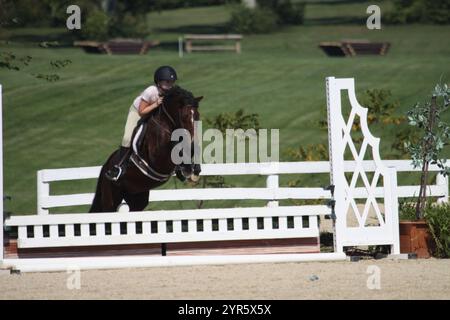 Pony Practice at Kentucky Horse Park in Lexington, Kentucky, USA Stock ...