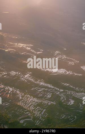 Vertical Close up on Bada rice terraces in Yunnan, China. Background ...