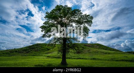 JUNE 2021, CAHOKIA, ILLINOIS, USA - Monks Mound at Monks Mound, Cahokia ...