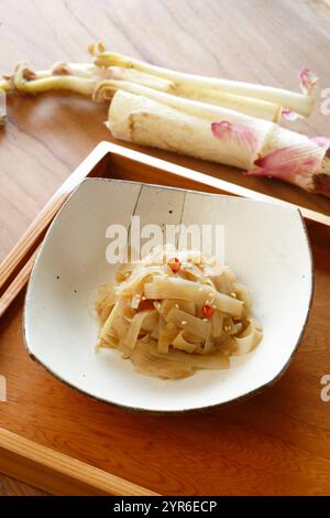 Udo (Japanese udo Stock Photo - Alamy
