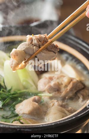 Mizutaki, Japanese Hakata style chicken hot pot Stock Photo - Alamy