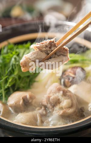 Mizutaki, Japanese Hakata style chicken hot pot Stock Photo - Alamy