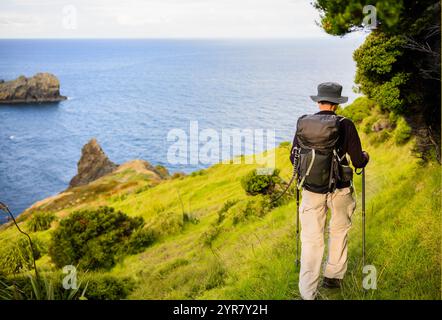 Backpacker hiking Cape Brett Track. Piercy Island, also known as The ...