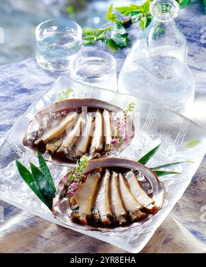 Abalone Shell cut out Stock Photo - Alamy