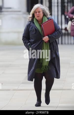 Secretary of State for Transport Heidi Alexander arrives in Downing ...