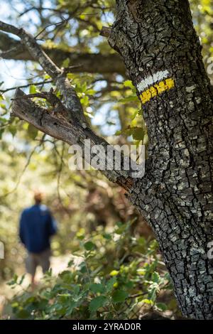 The village of Evol is part of the town of Olette (south of France ...