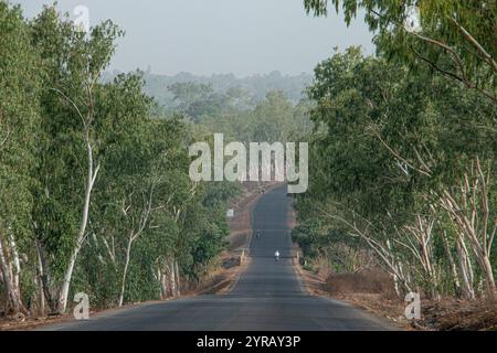 Peaceful Rural Road in Togo Surrounded by Dense Trees and Rolling ...
