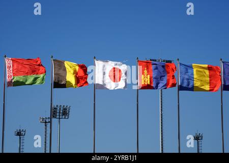 Japanese flag and world flags with the stadium in the background Stock ...