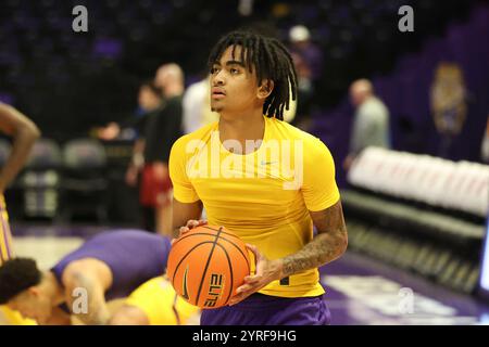 Baton Rouge, United States. 03rd Dec, 2024. LSU Tigers guard Vyctorius ...