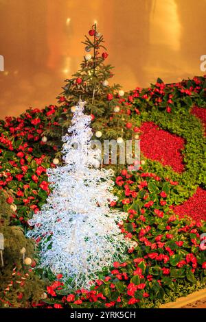 The White House is lit green to celebrate St. Patrick's Day, Wednesday ...