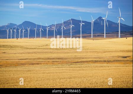Canada, Alberta, Cowley, Crowsnest Pass, Cowley Ridge Wind Farm Stock ...