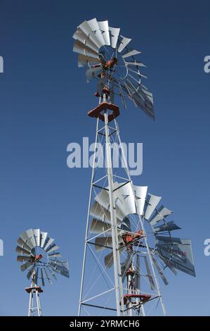 USA, TEXAS, Lubbock: American Wind Power Center Historic Windmills ...
