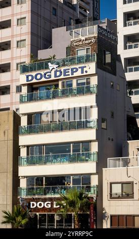 Pet store in Tokyo Japan Stock Photo - Alamy