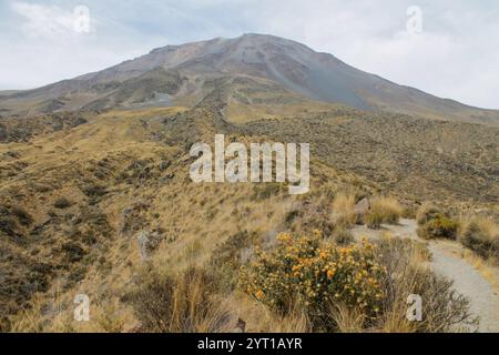 Volcano crater inside. Lava, ash, smoke and rocks inside of volcano ...