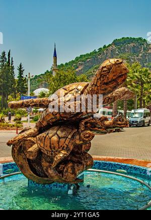 Turkey, Dalyan, Loggerhead turtle (Caretta caretta) in water Stock ...