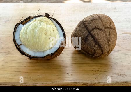 A broken coconut has an embrio that grows to fill the endosperm and a ...