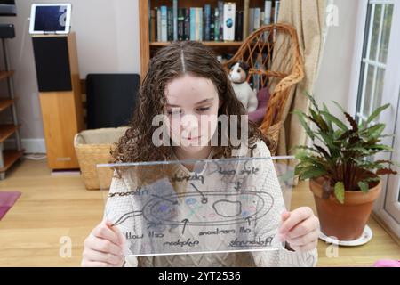 Teenager studying revising science biology cell structure GCSE drawing ...
