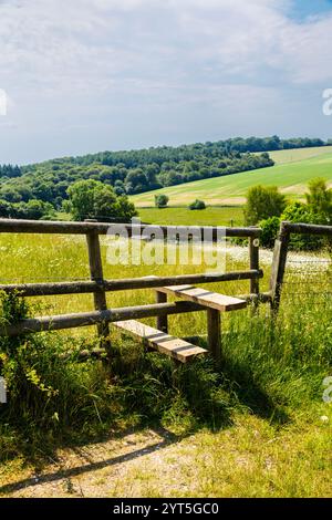 a country stile over a fence in the countryside Stock Photo - Alamy