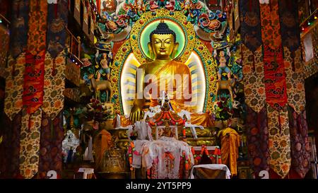 Statue of Lord Buddha inside Tawang Monastery depicting his meditative ...