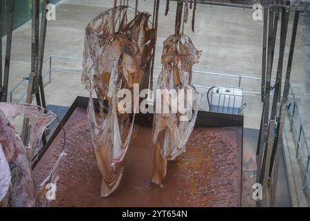 Open Wound with fabric hanging sculptures and mechanical installations ...