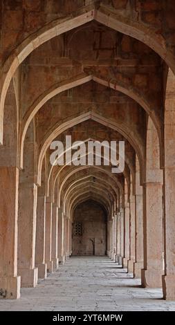 India, Gujarat, Mandu, Jama Masjid in the ghost town Stock Photo - Alamy