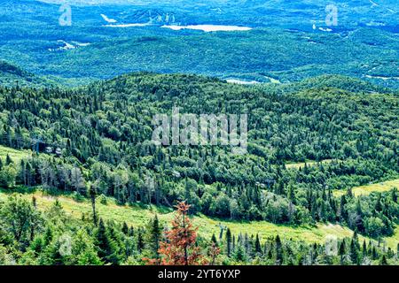 Mountain Greenery - views Stock Photo - Alamy
