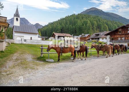 the remote alpine village of S-Charl with the small reformed church and ...