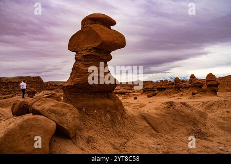 MARCH 2023, GOBLIN STATE PARK, UTAH - elevated view of odd mushroom red ...